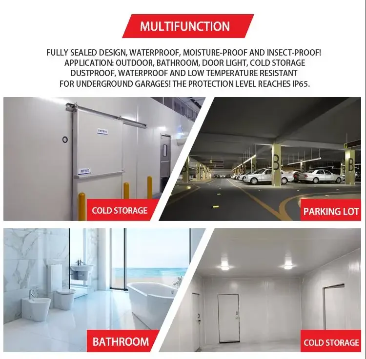 2023 Ac220v 20ft 40ft Cold Storage /cold Room Tube Led Light Moisture ...