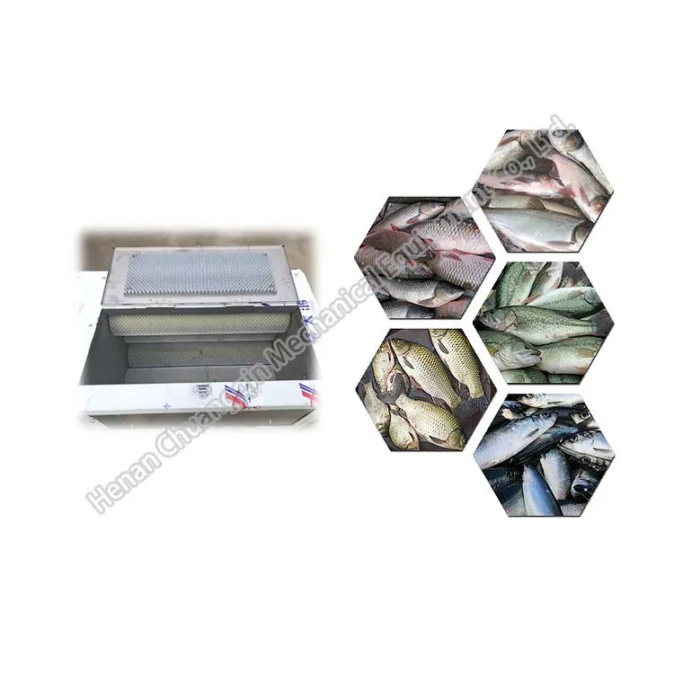 Shaved Fish Scales Small Fish Processing Machine Sent Cleaning Fish ...