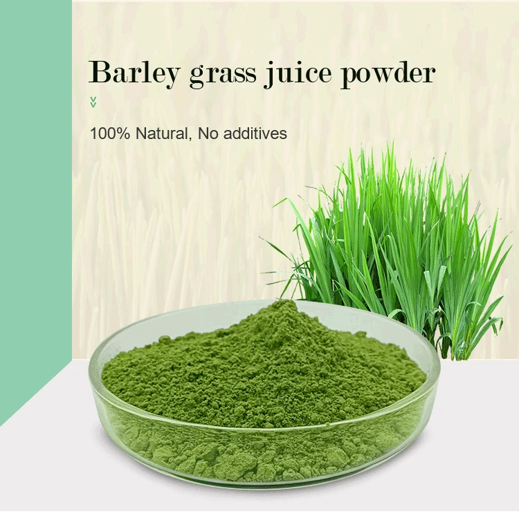 Hot Sales Barley Grass Extract Barley Grass Juice Powder Barley Grass ...
