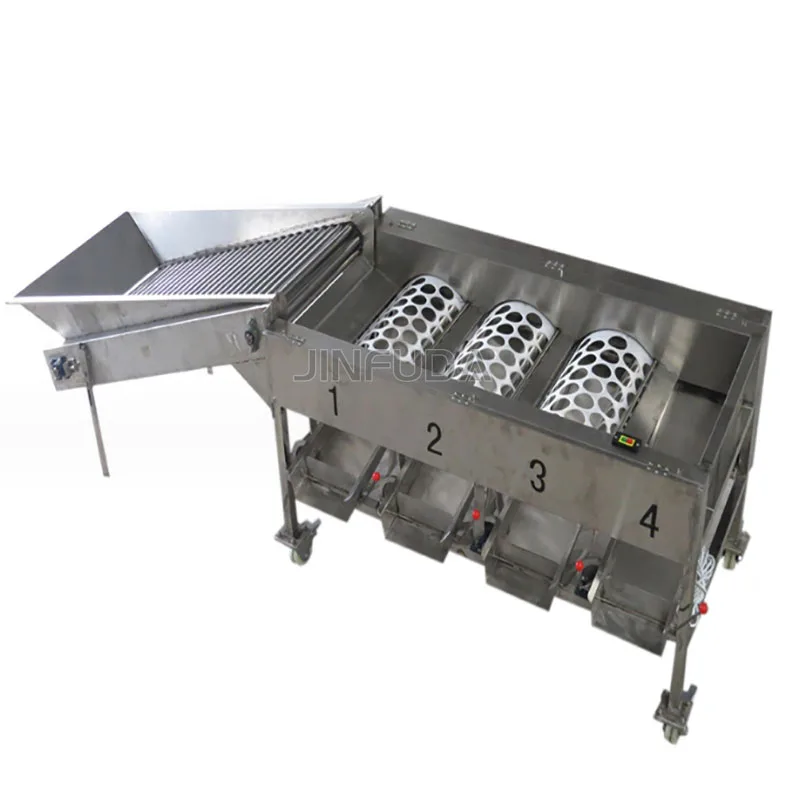 Blueberry Grading Machine & Potato Sorting Solutions