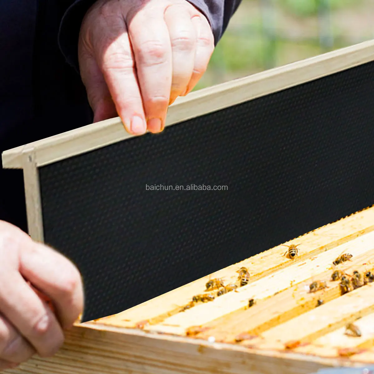 Unassembled Langstroth Beehive, Deep Brood Box Dipped in Wax With 10 ...