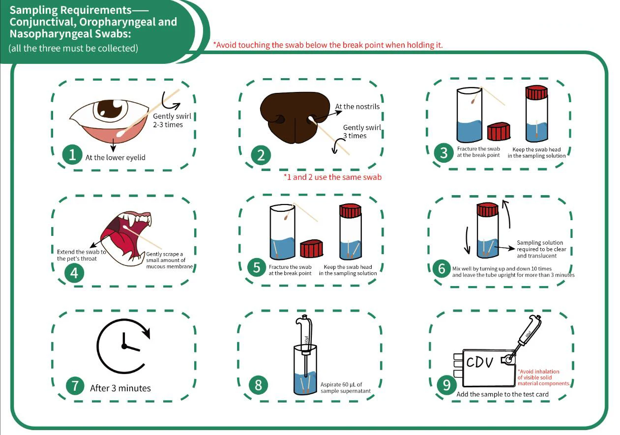 Veterinary Real Time Pcr System Dna Testing Machine Real Time Pcr In ...