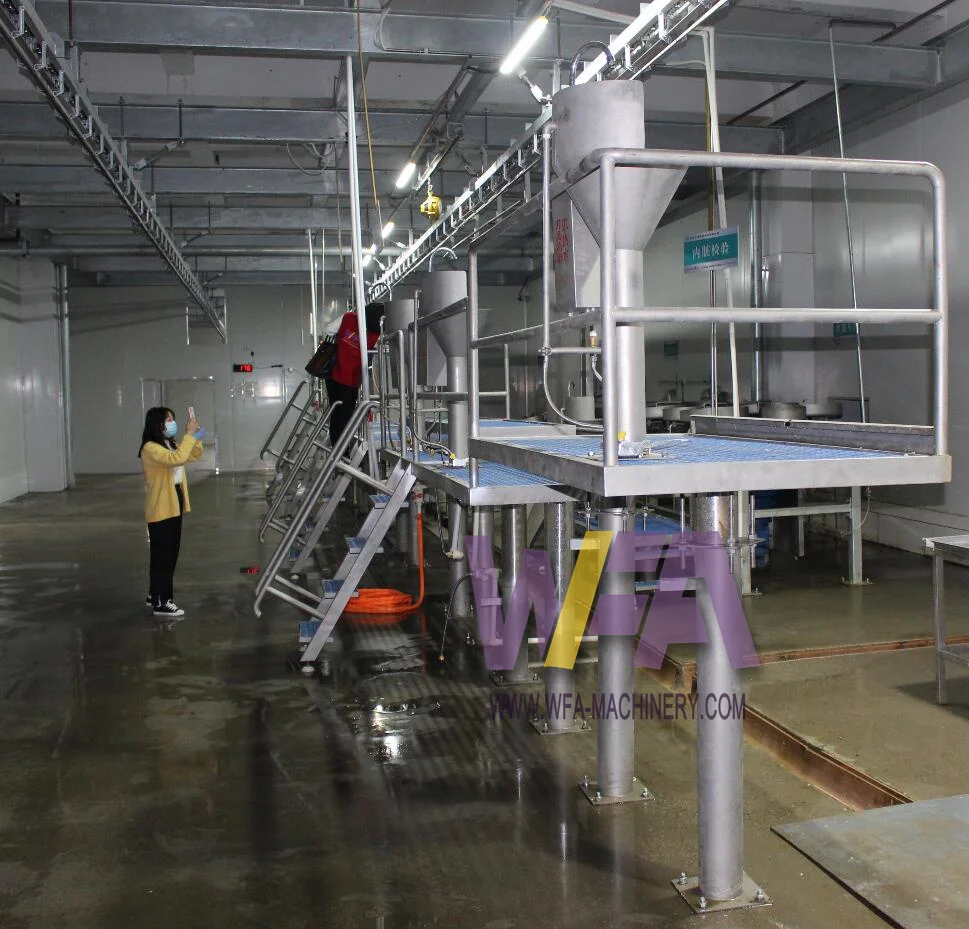 Modern Abattoir 50-100 Pig Slaughterhouse Meat Processing Line For Sow ...