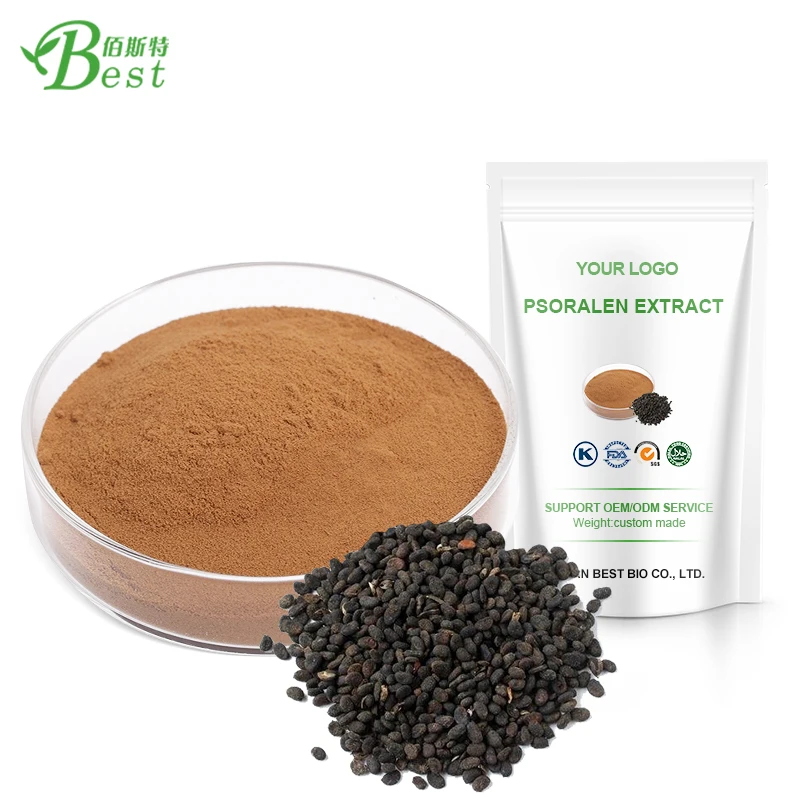 Psoralea Corylifolia Extract Psoralen 10:1 - Buy Psoralea Corylifolia ...