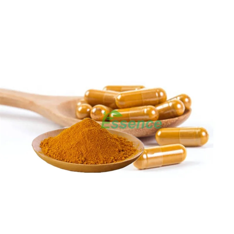 Natural Organic Turmeric Root Extract Powder Curcumin 95% Curcumin ...