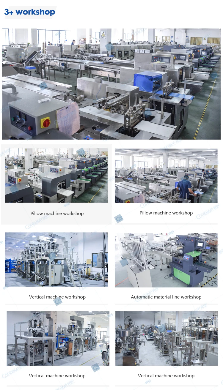 VT-160 Automatic Flat Bread Packing Machine - Easy & Efficient