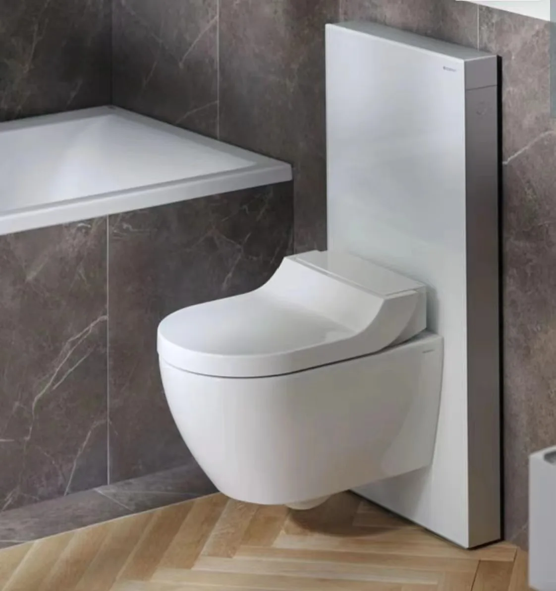 Customized Concealed Tank Wc Ceramic Duravit Sanitary Ware Washdown ...
