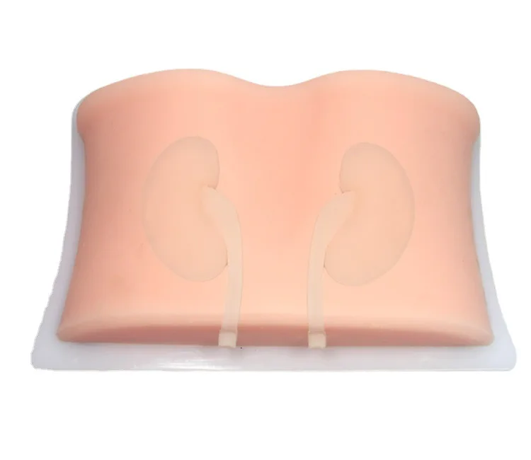 Ultrasound Guided Renal Puncture Model for Medical Training