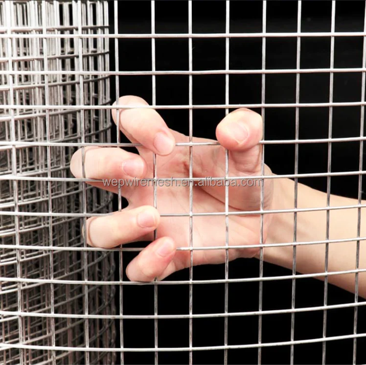50x50x2.5mm Iron Wire Mesh - Durable and Versatile Solutions