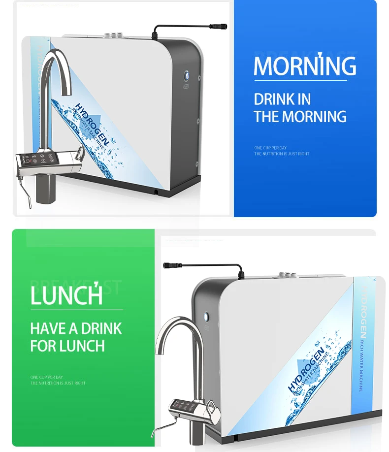 Japanese Technology Platinum Coating Hydrogen Water Machine Alkaline ...