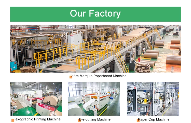 Custom Disposable Custom Recyclable Divider Cookie Boxes With Inserts ...