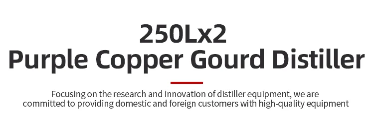 250L Copper Stills for Alcohol Distillation - Video Inspection