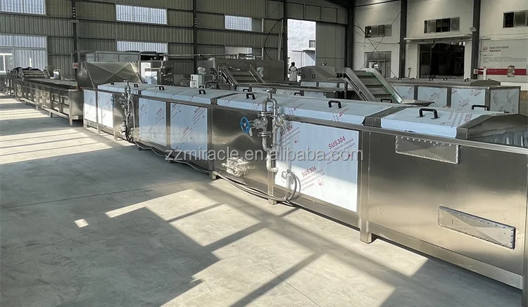 Potato Boiler Machine - Efficient Food Blanching Solutions