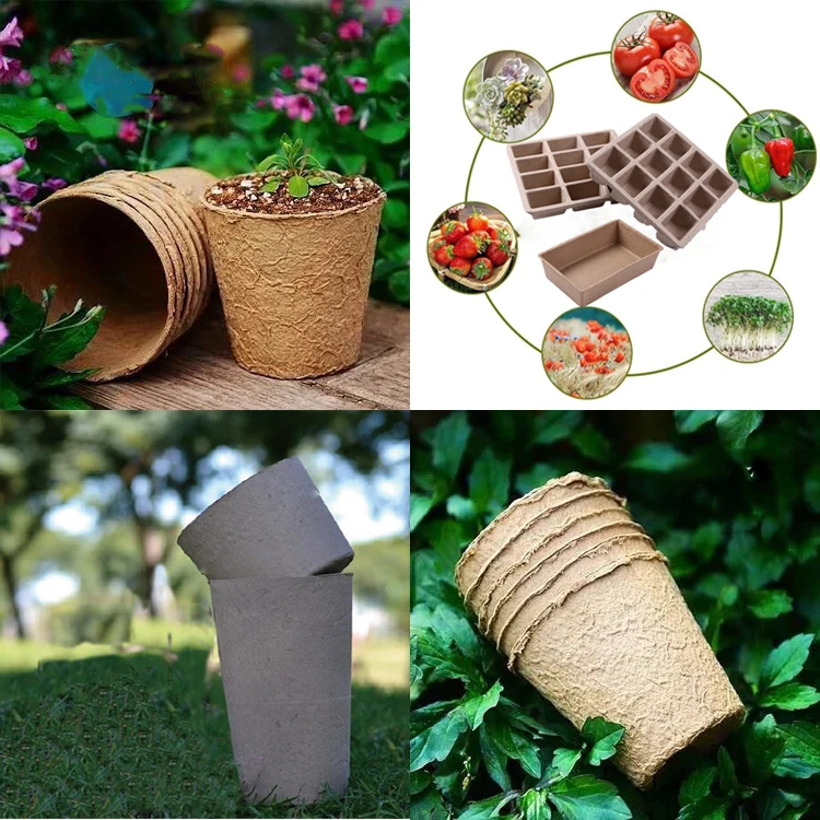 D366-Diodegradable Pulp Paper Pot Microgreen Growing Tray| Alibaba.com