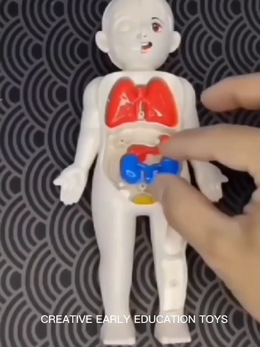 Samtoy 14pcs Educational 3d Model Scientific Blocks Model Building Toys ...