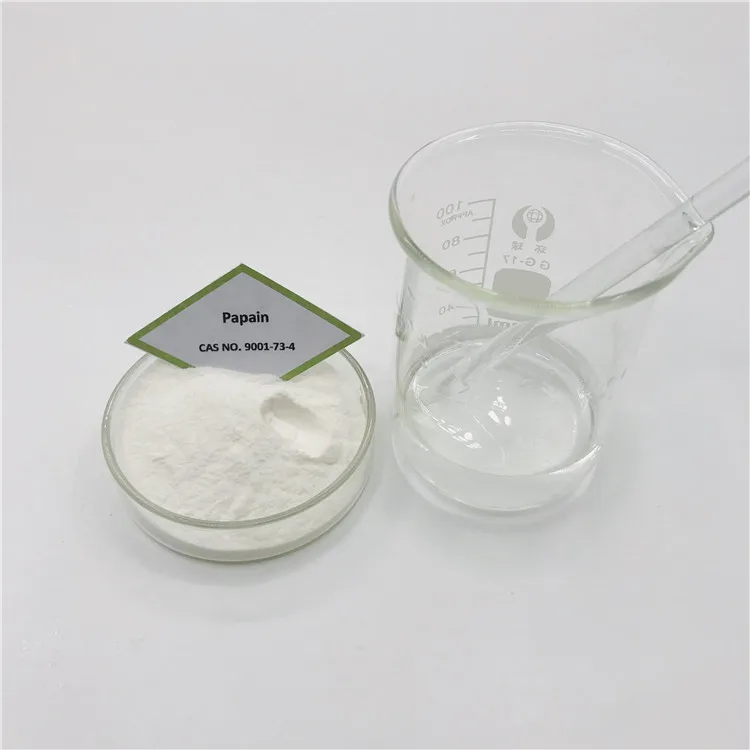 Food Grade Papain Enzyme 50000u/g Papain Powder 100000u/g Papain ...