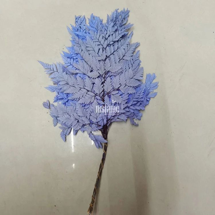 MSFAME Wholesale Multiple Colors Natural Dried Flowers Preserved ...