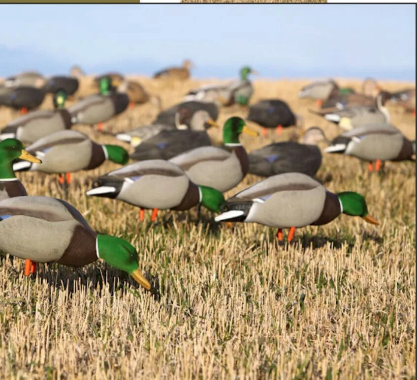 Outdoor EVA Plastic Body Bait - Floating Duck Hunting Decoys
