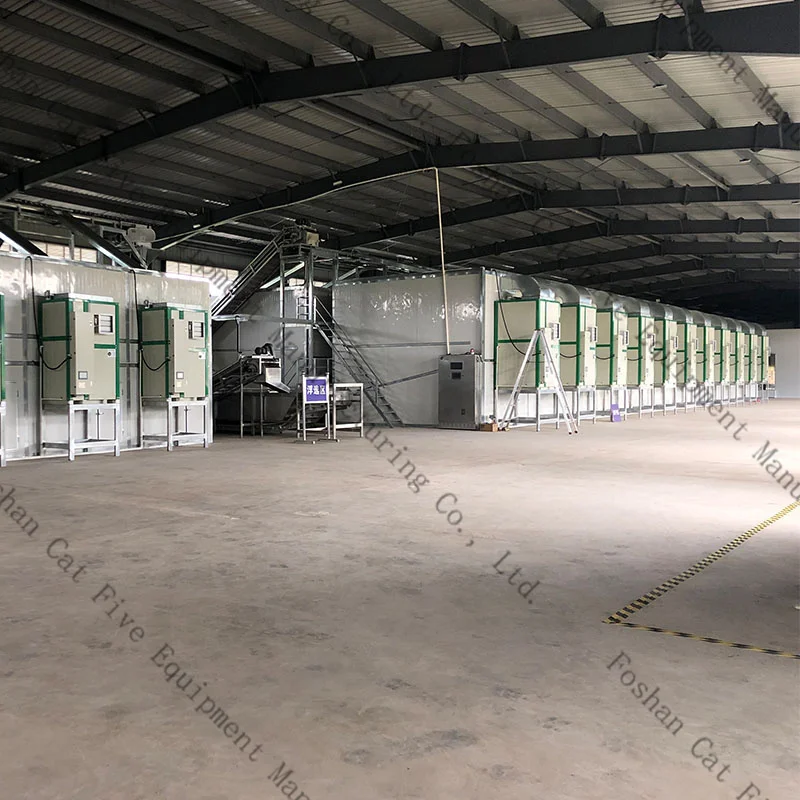 Automated Macadamia Nut Shelling Drying Sorting Machine Primary Initial ...