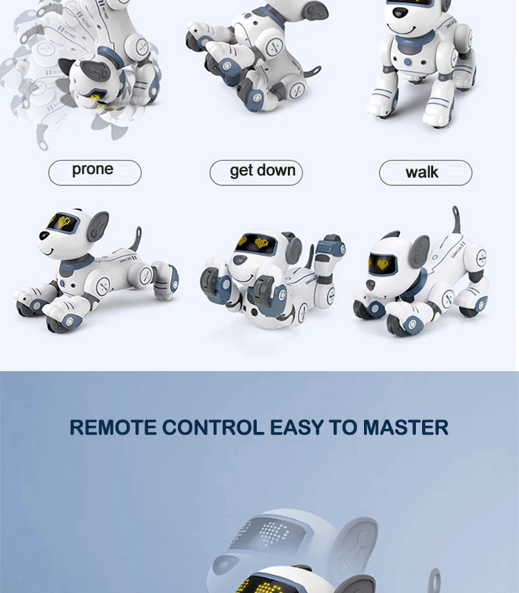 Programmable Smart Remote Control Dancing Robot for Kids