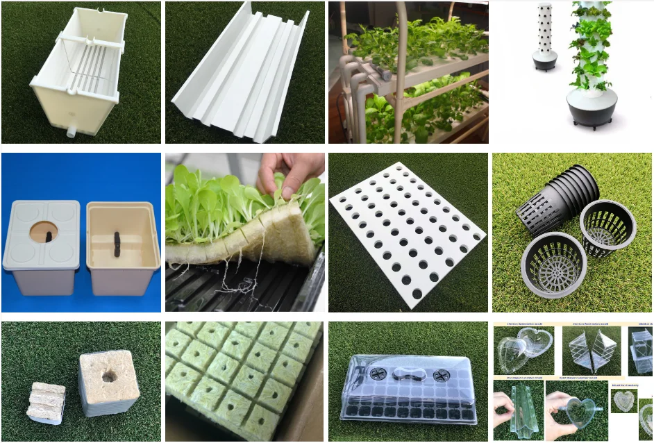 Hydroponic DWC Floating Raft System for Greenhouse Veg