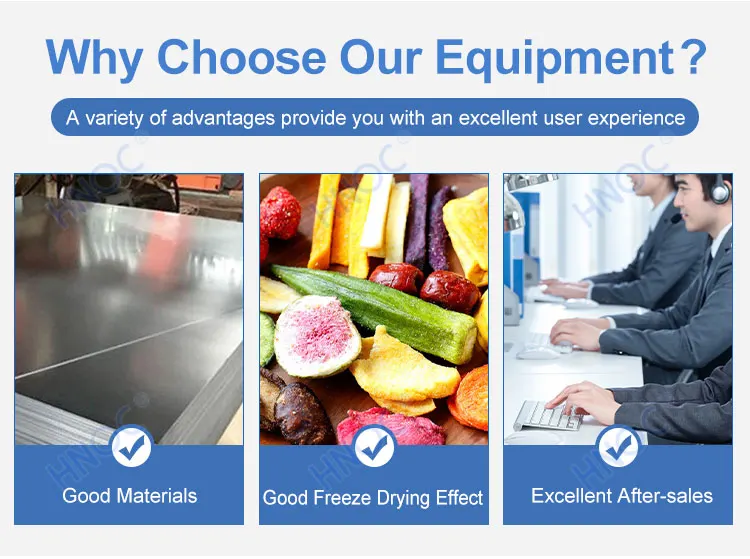 Industrial Lyophilization Machine - Efficient Freeze Drying