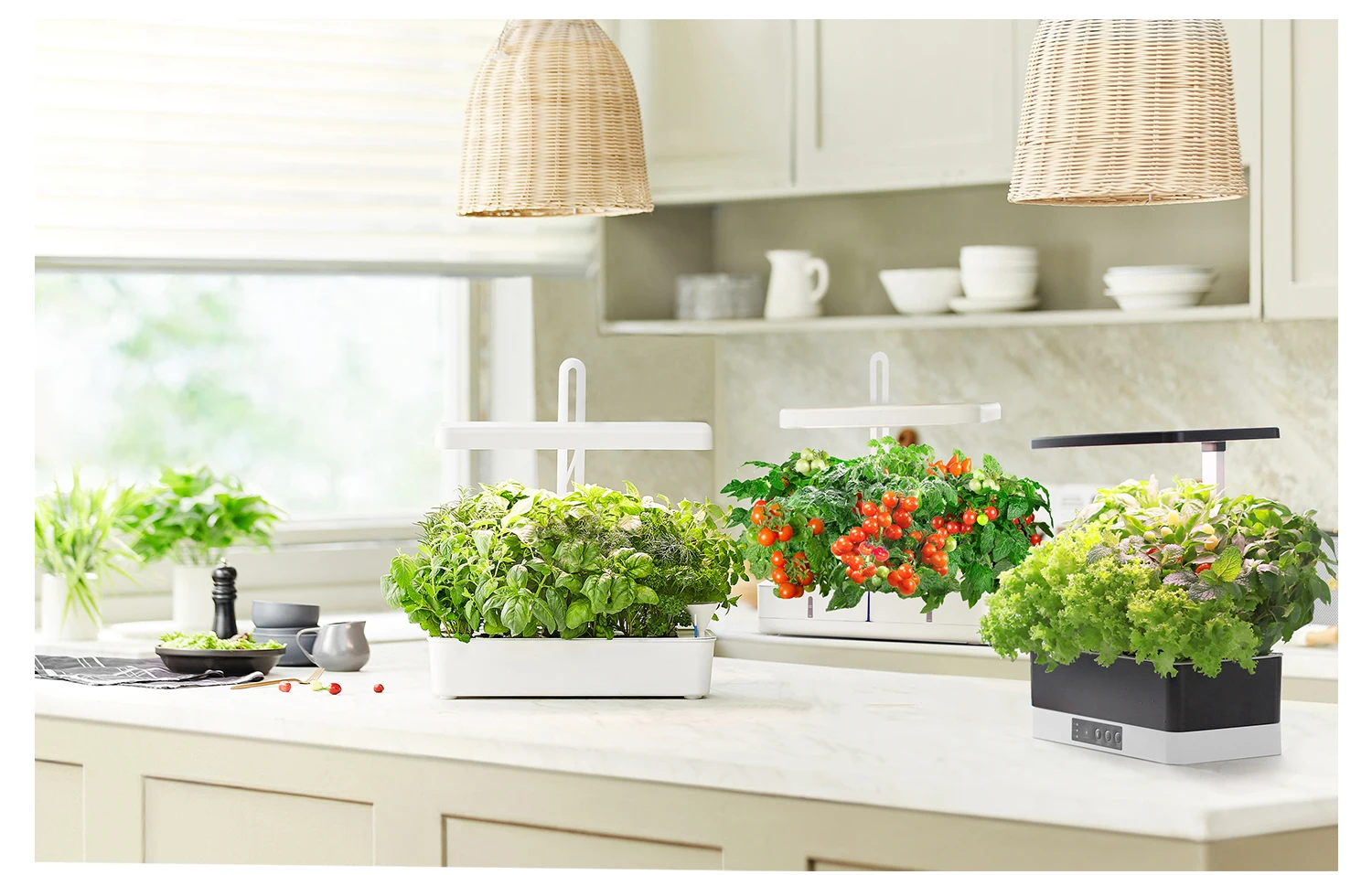 Hydroponic Plant Grow System - Efficient Indoor Gardening