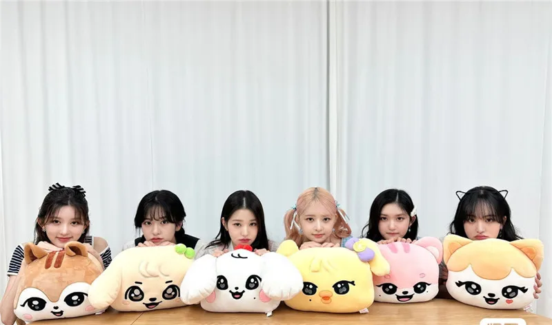 Kpop Ive Minive Gaeul Yujin Liz Plushie Wholesale Custom Throw Cushion ...