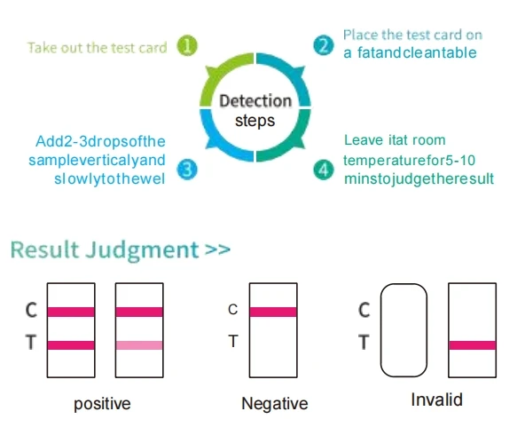 Pet Hospital Early Pregnancy Relaxin Rapid Test Canine Relaxin Antigen ...