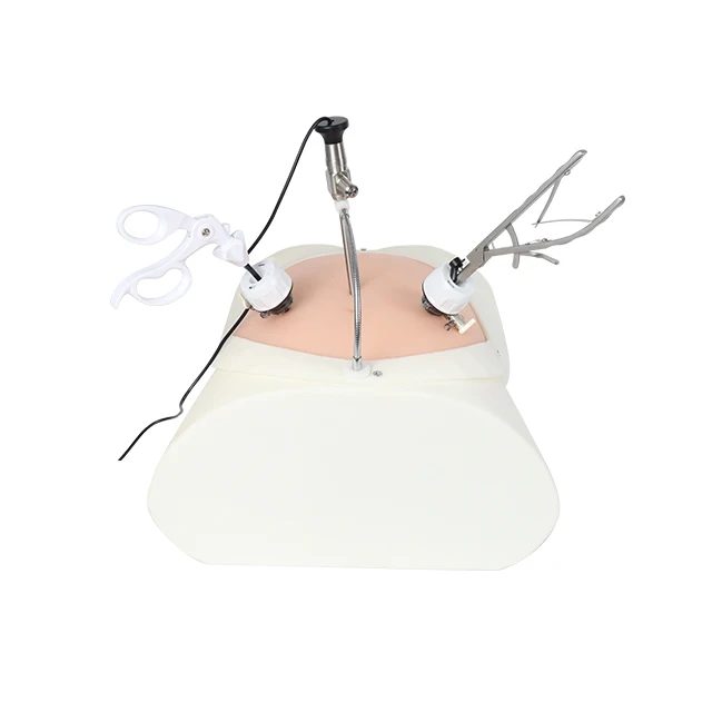 Laparoscopic Trainer Box - Advanced Medical Training Simulator