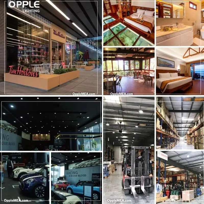 Opple Light Master Pro 4 Light Lux Cri Flicker Meter Led Flashlight ...