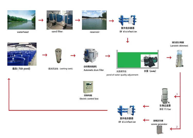 Ras Recirculating Aquaculture System For Tilapia Fish Breeding Farm ...