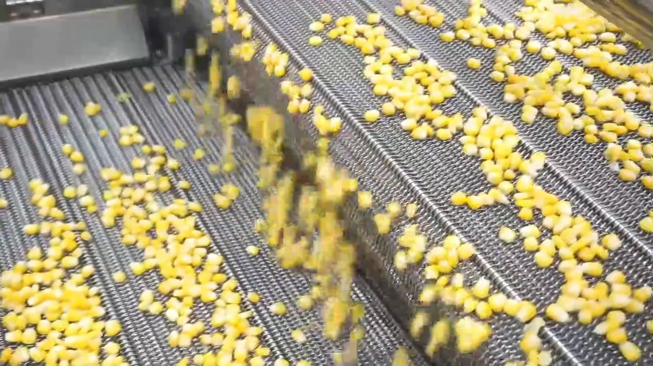 Industrial Sweet Corn Maize Processing Line Corn Thresher Sheller Corn ...