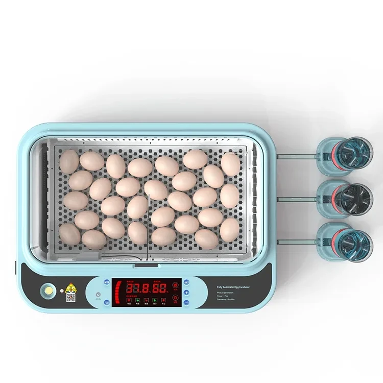 Automatic Egg Incubator Transparent Window Incubator 64 Egg Incubator ...
