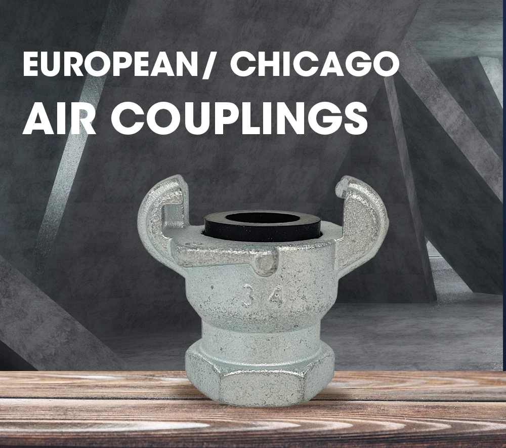 Carbon Steel Quick Release Air Hose Coupling - US Chicago Type