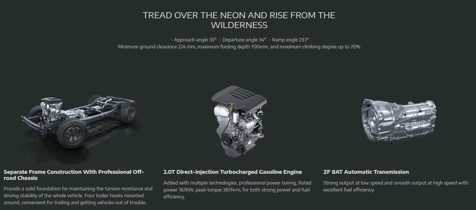 2024 China Gwm Off-road Edition 2.0t Petrol Gasoline Tank 300 Suv Car ...