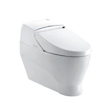 Inodoro Inteligente De Una Pieza Con Sensor Automático Y Control Remoto ...