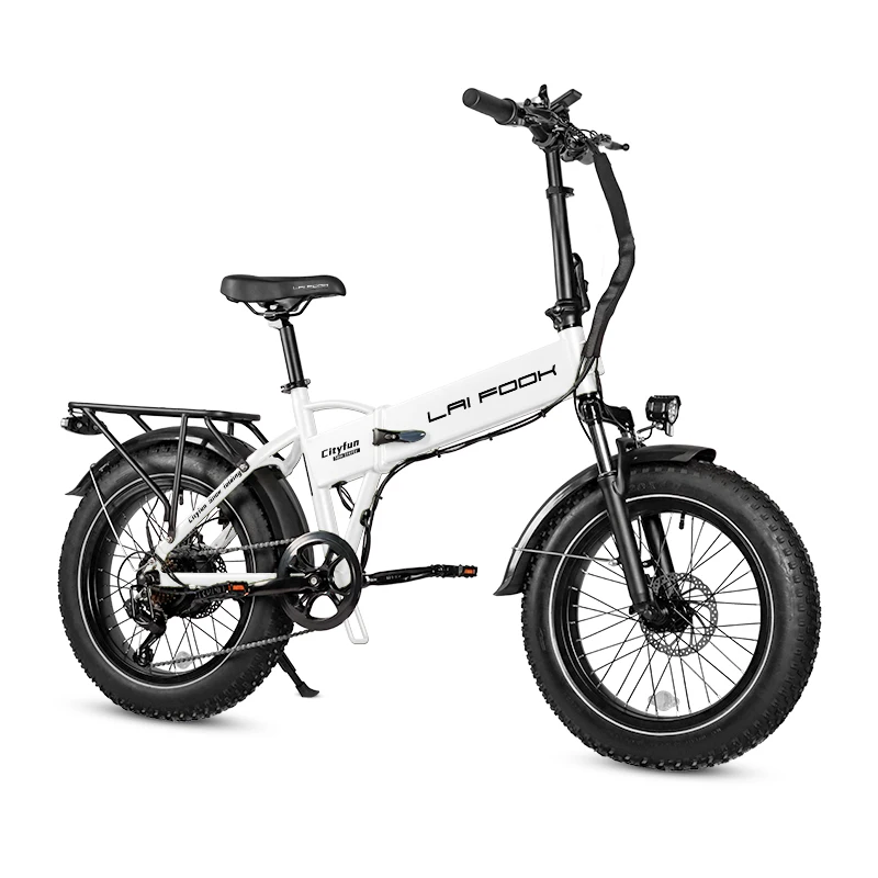 Foldable Portable Cycle E-Bike delivery electric bike 70ah Fat tire ...