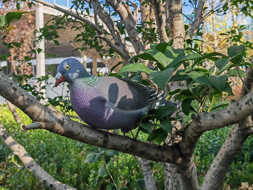Garden Decorative Realistic Hunting Shell Pigeons Decoy EVA Plastic ...