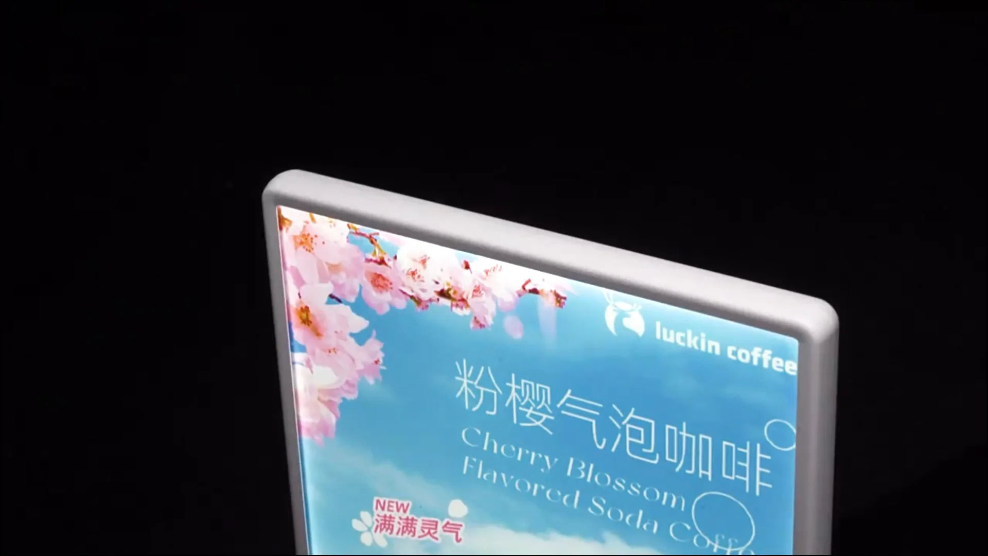 Chargeable Double Sides Advertising Light Box Display Custom Aluminum ...