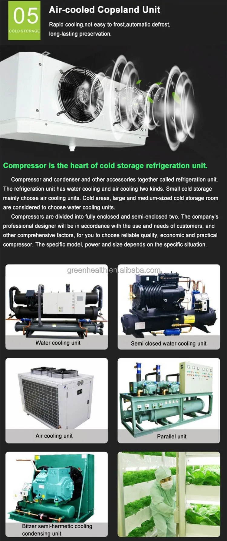 Blast Walking Freezer - Efficient Frozen Storage Solutions