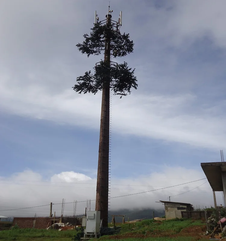 China Customized High Quality Disguised Bionic Tree Cell Tower ...