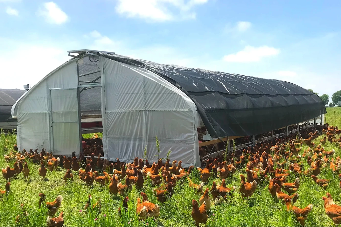 Mobile Broiler House Structures Breeding Greenhouse Solar-powered Robot ...
