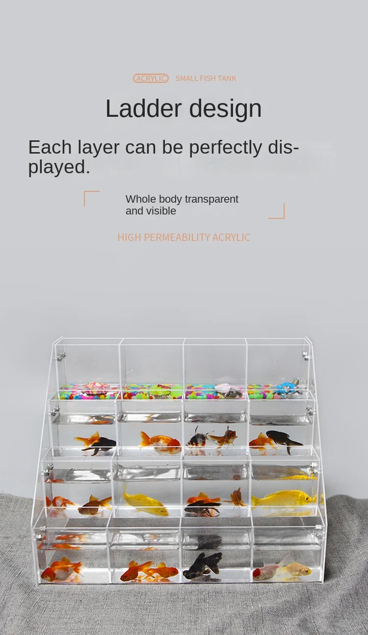Betta Fish Tank - Multi Layer Ecological Aquarium