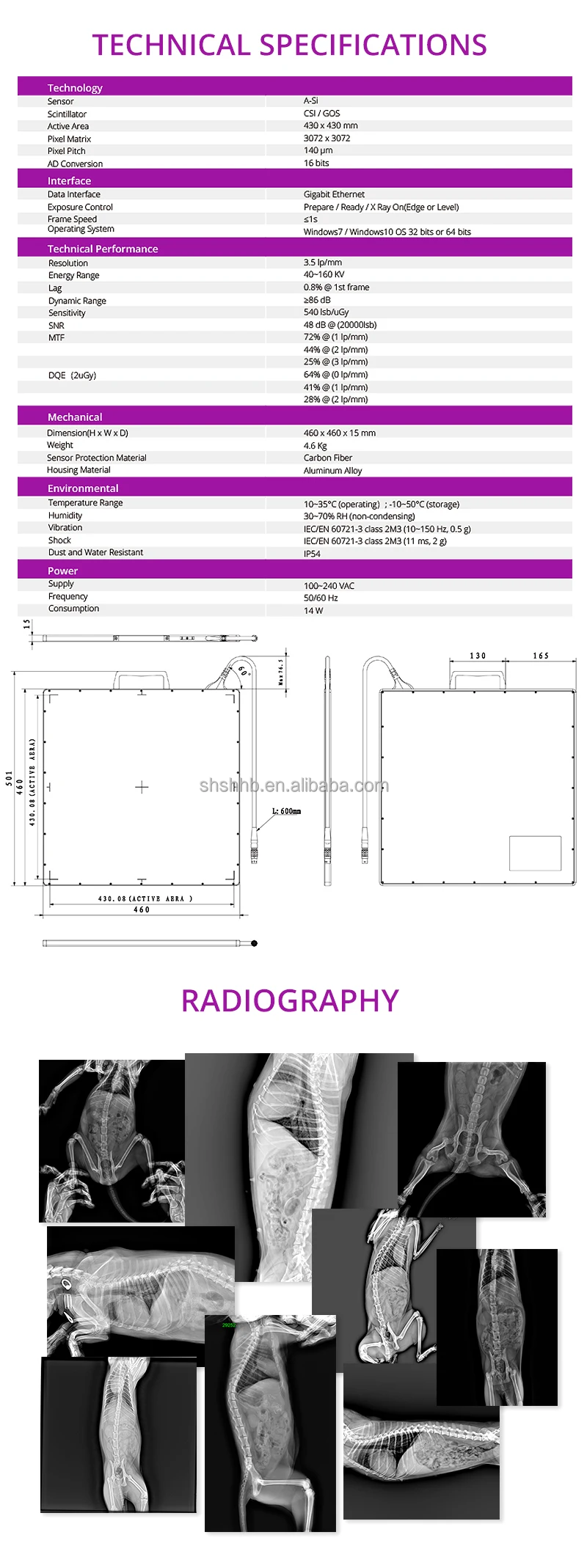 Digital Radiography X Ray Flat Panel Detector For Veterinary Usage X ...