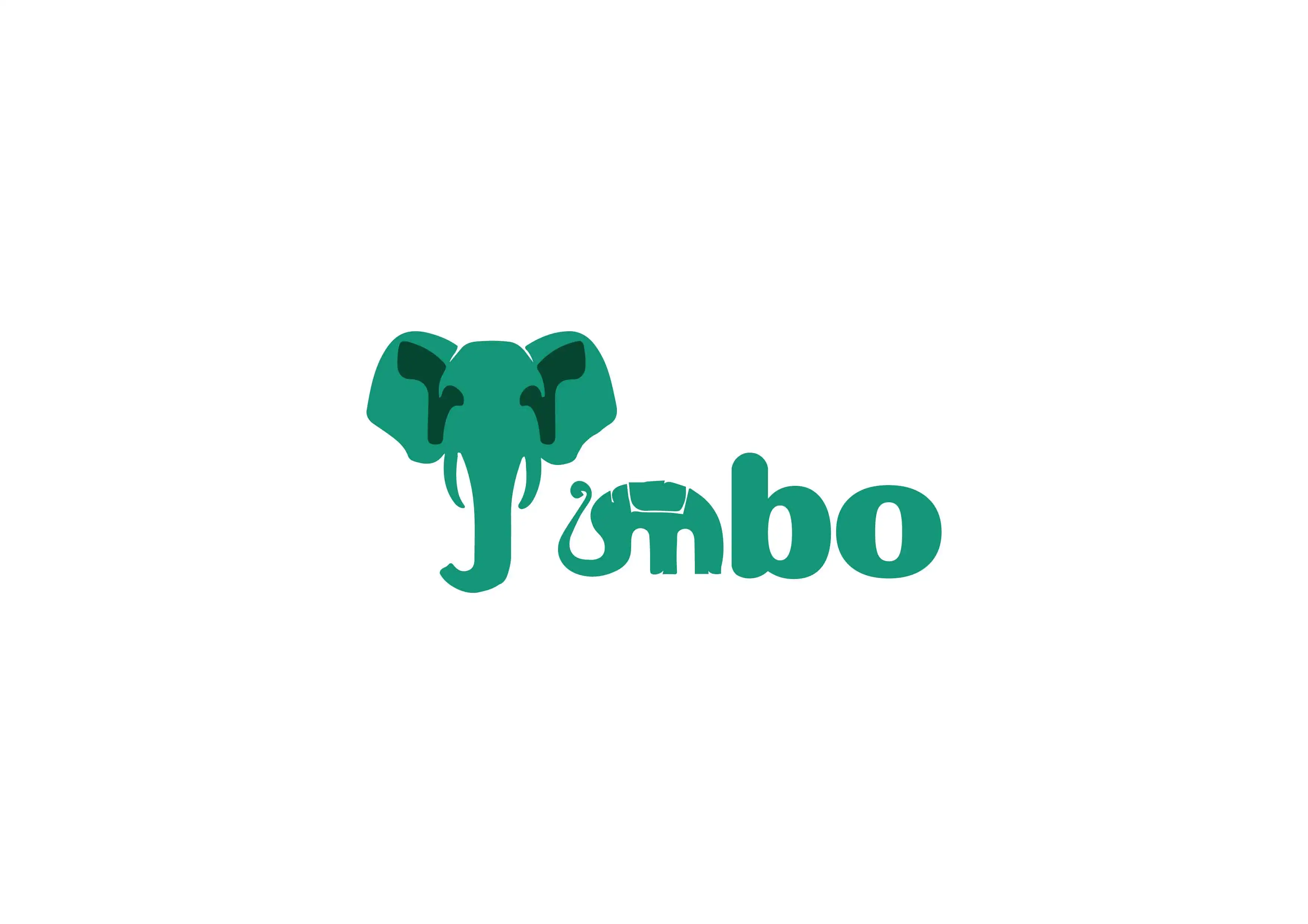 Company Overview - Anhui Jumbo Technology Co., Ltd.