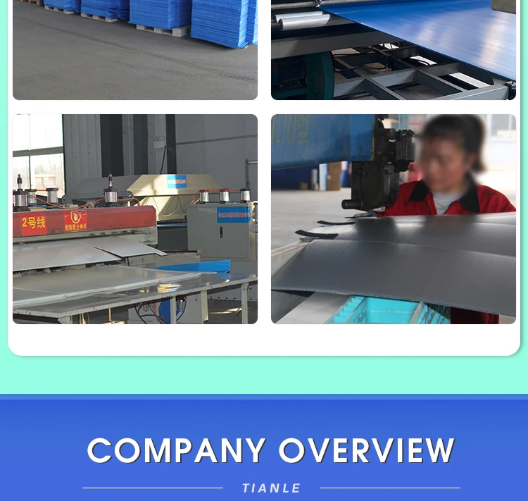 Wholesale Recyclable Foldable Coroplast Storage Danpla Polypropylene
