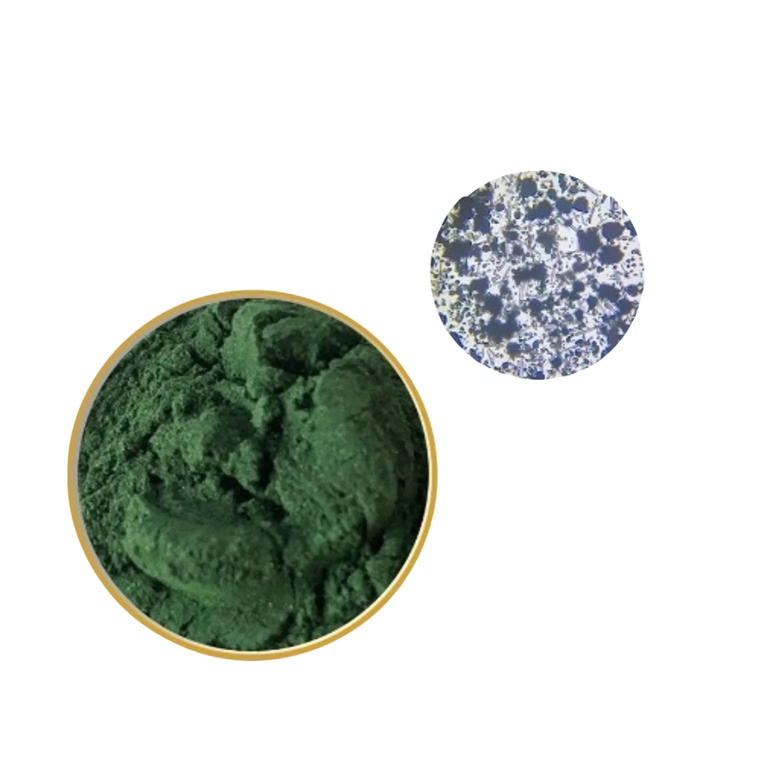 Algae Peel Bio-microneedling Sponge Spicule Powder Peel Spiculation ...