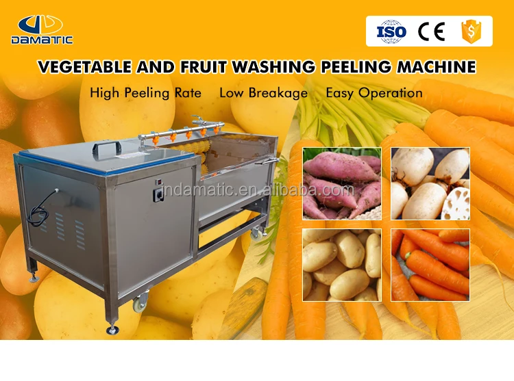 Stainless Steel American Fully New Automatic Kiwi Root Fruit Potato ...