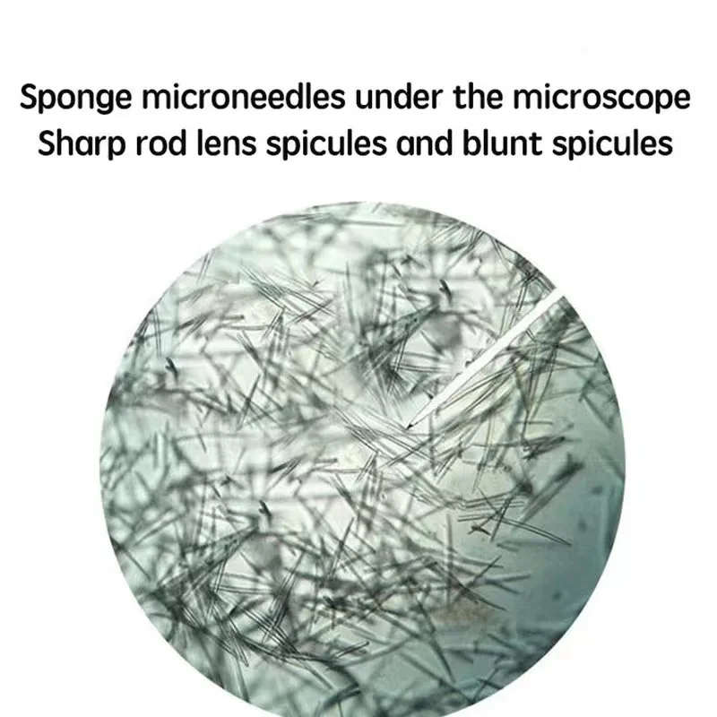 Seaweed Microneedling - Spongilla Spicules Powder 2024G